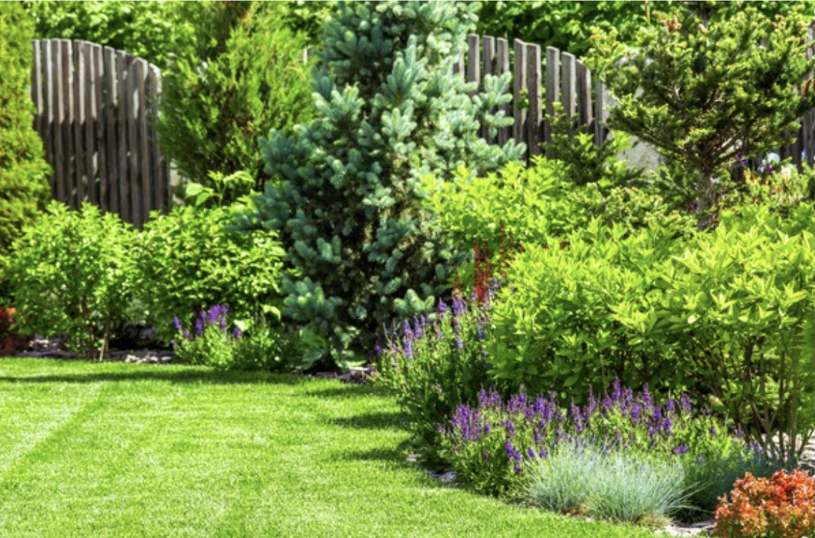 Online Presentation: Designing a Sunny Perennial Border with Jana ...